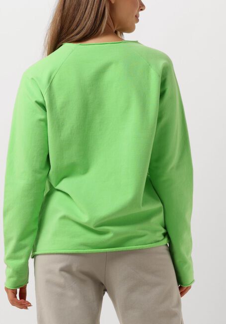 Groene PENN & INK Trui 513 SWEATER PRINT | Assem