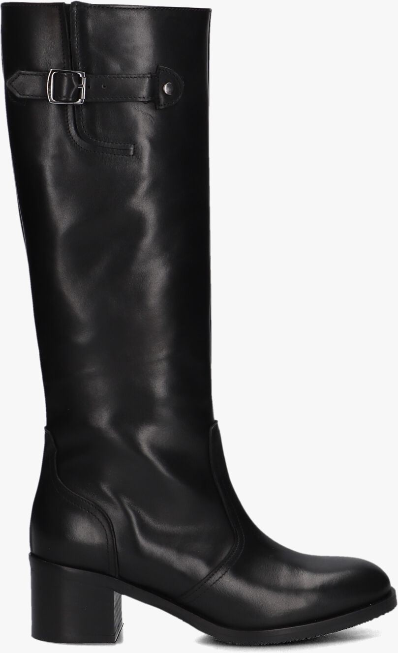 Zwarte STEFANO LAURAN Laarzen 7436 | Assem